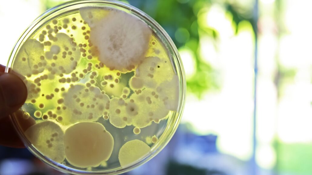Why Mold Exposure Is So Common — and So Easily Missed | Sunrise ...